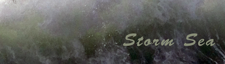 The Raging Storm | Poem – Meta/ Phor(e) /Play